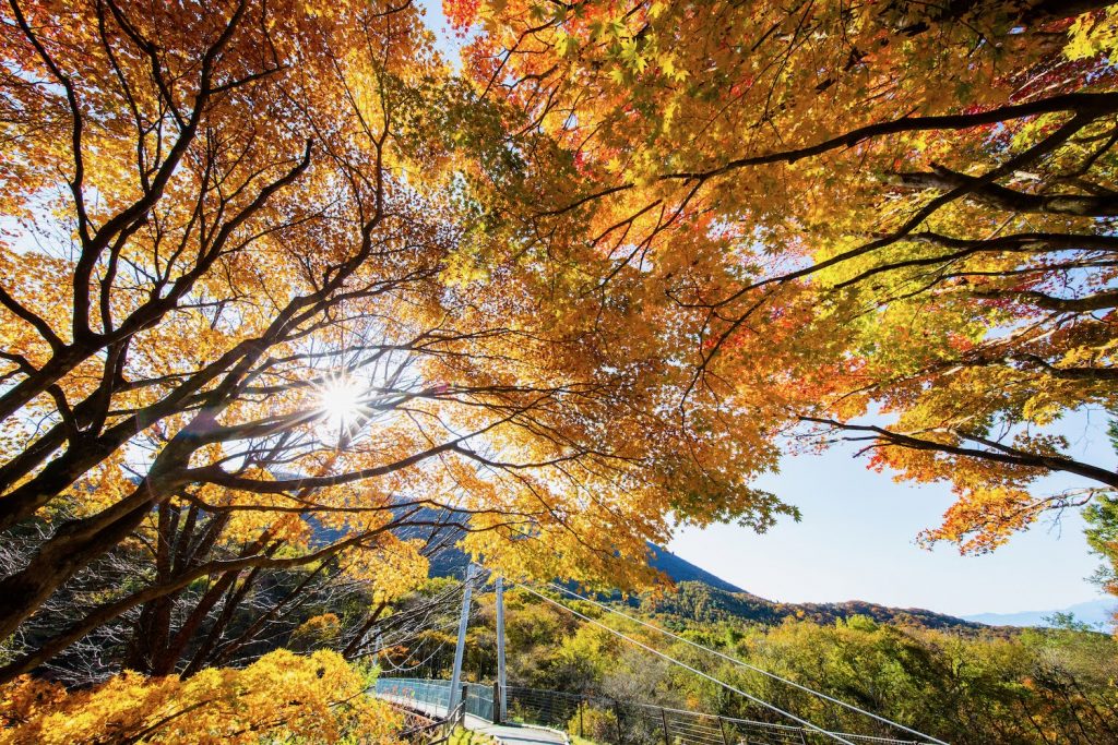 Climbing Mt. Akagi on an E-bike Tour | Akagi-Trip English